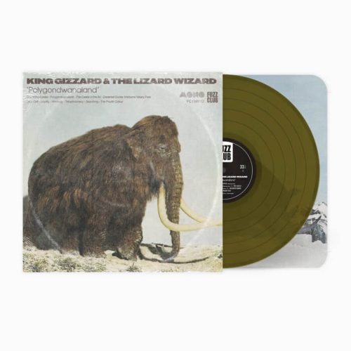 King Gizzard And The Lizard Wizard | Polygondwanaland (Transparent ...